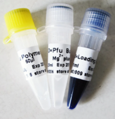 Pfu DNA polymerase | MagGenome